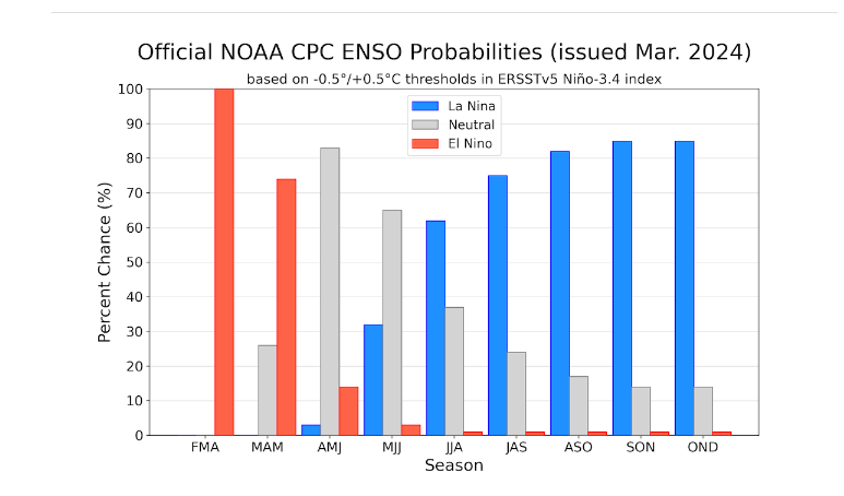 2024 Summer Outlook Report